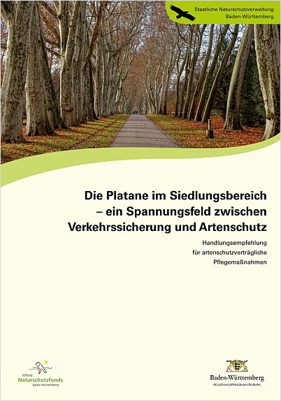 Die Platane im Siedlungsbereich - Arboristik-Baumpflege-Baumschutz