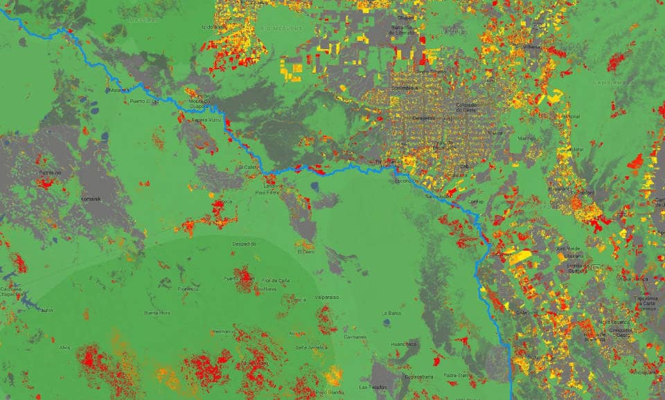 Die zwei Länderseiten von Wäldern - Waldwissen