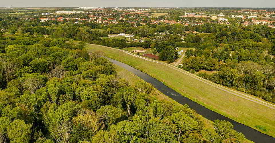 Plan zur Rettung des Leipziger Auwalds - Waldwissen