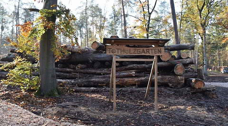 Erster Totholzgarten Baden-Württembergs eröffnet - Waldwissen