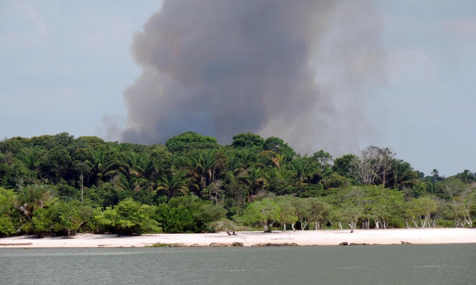 Brände am Amazonas - Wissen