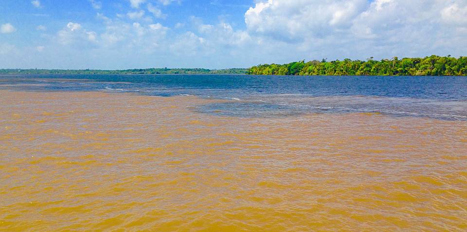 Brände am Amazonas - Wissen