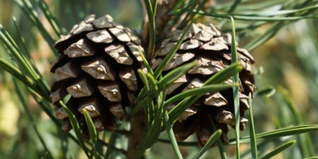 Aktuelles aus Forschung und Wissenschaft Seite 2 - Wissen