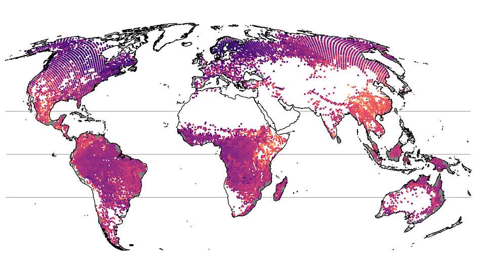 Lückenlose Weltkarte der Baumarten-Vielfalt - Wissen
